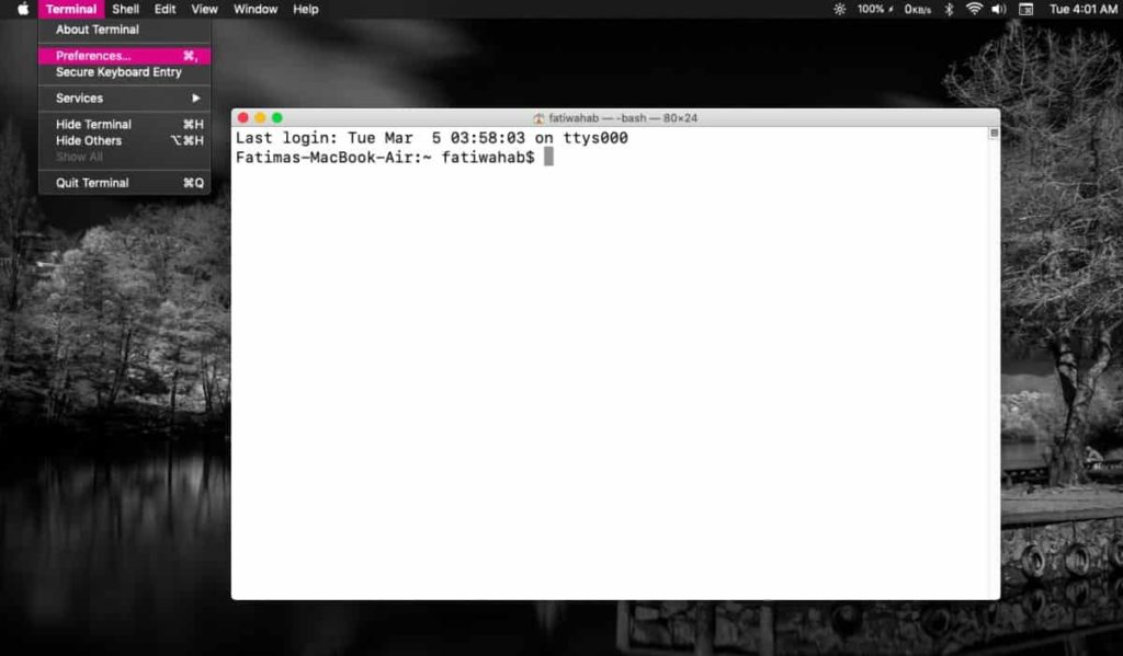 System info and preferences from the Terminal in Mac OS X - Mac Terminal