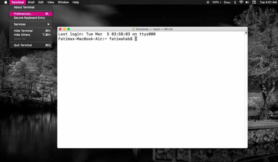 System info and preferences from the Terminal in Mac OS X - Mac Terminal